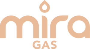 Gas Supplier in Kuala Lumpur & Selangor - Ionnex Gas